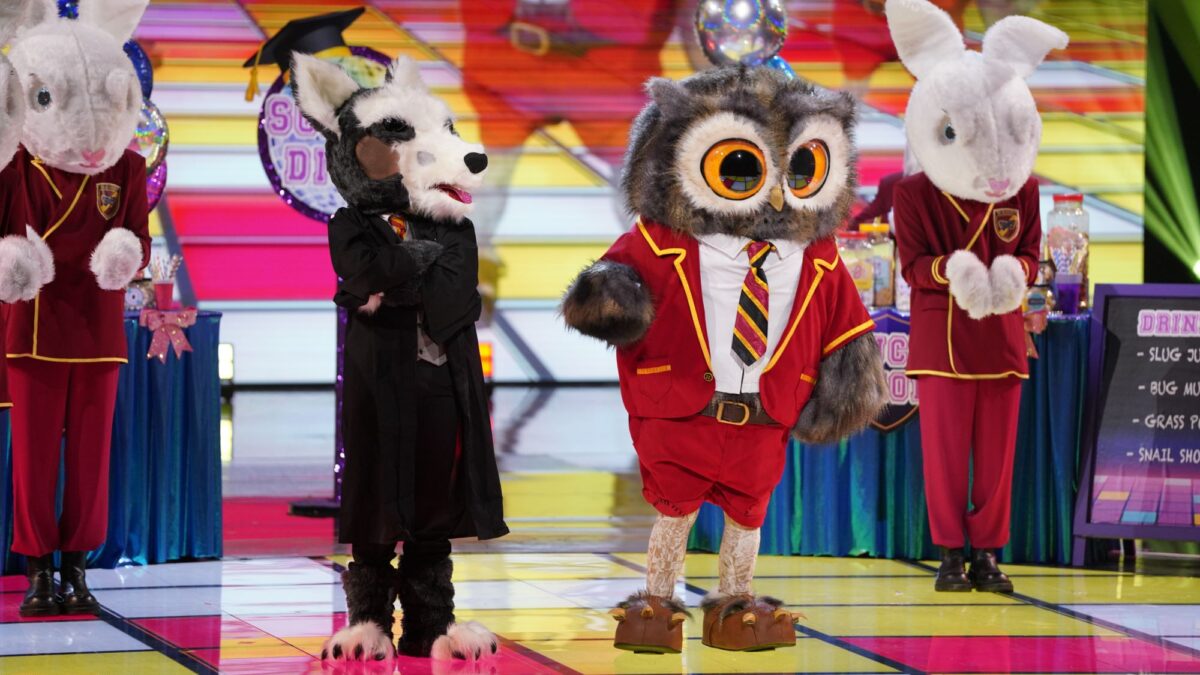 Owl on The Masked Singer is famous TV presenter, say fans | TellyMix