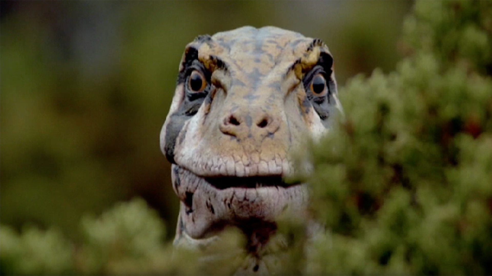 Walking With Dinosaurs to return to TV in brand new series | TellyMix